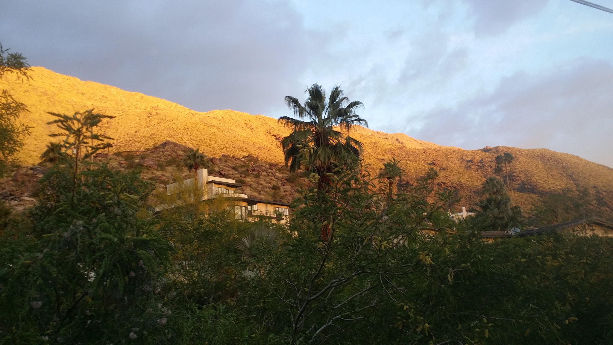 Lisa Marie Cross | Palm Springs, California | USA - VIEW FROM MY WINDOW