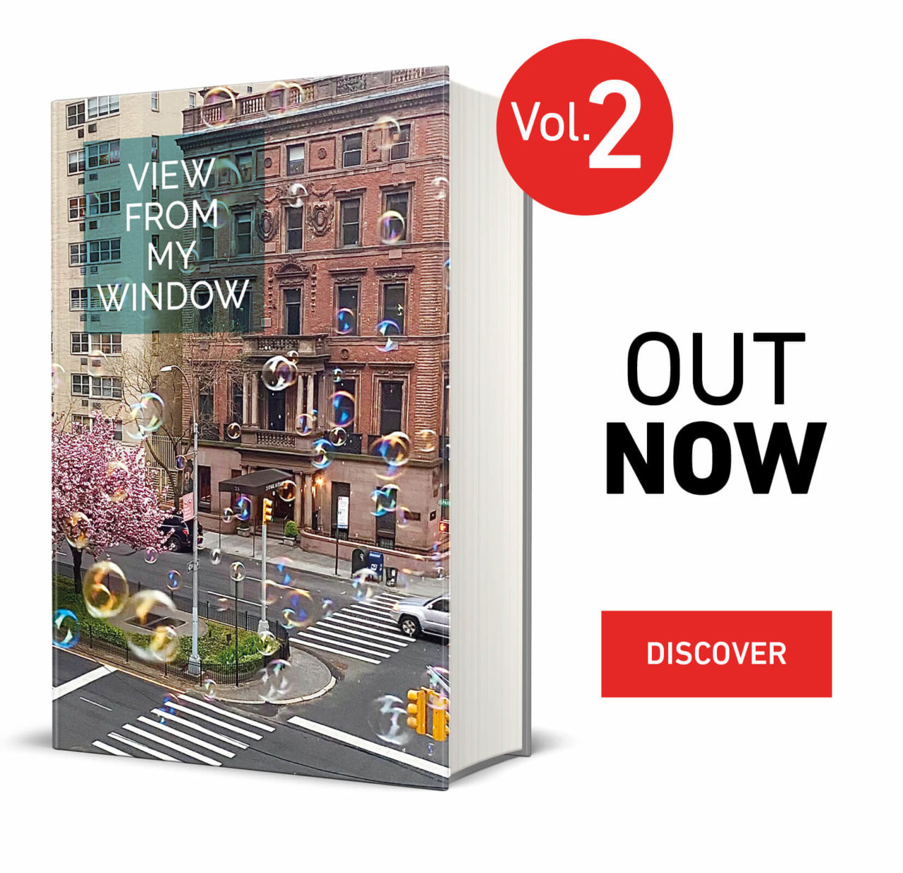 The books - VIEW FROM MY WINDOW